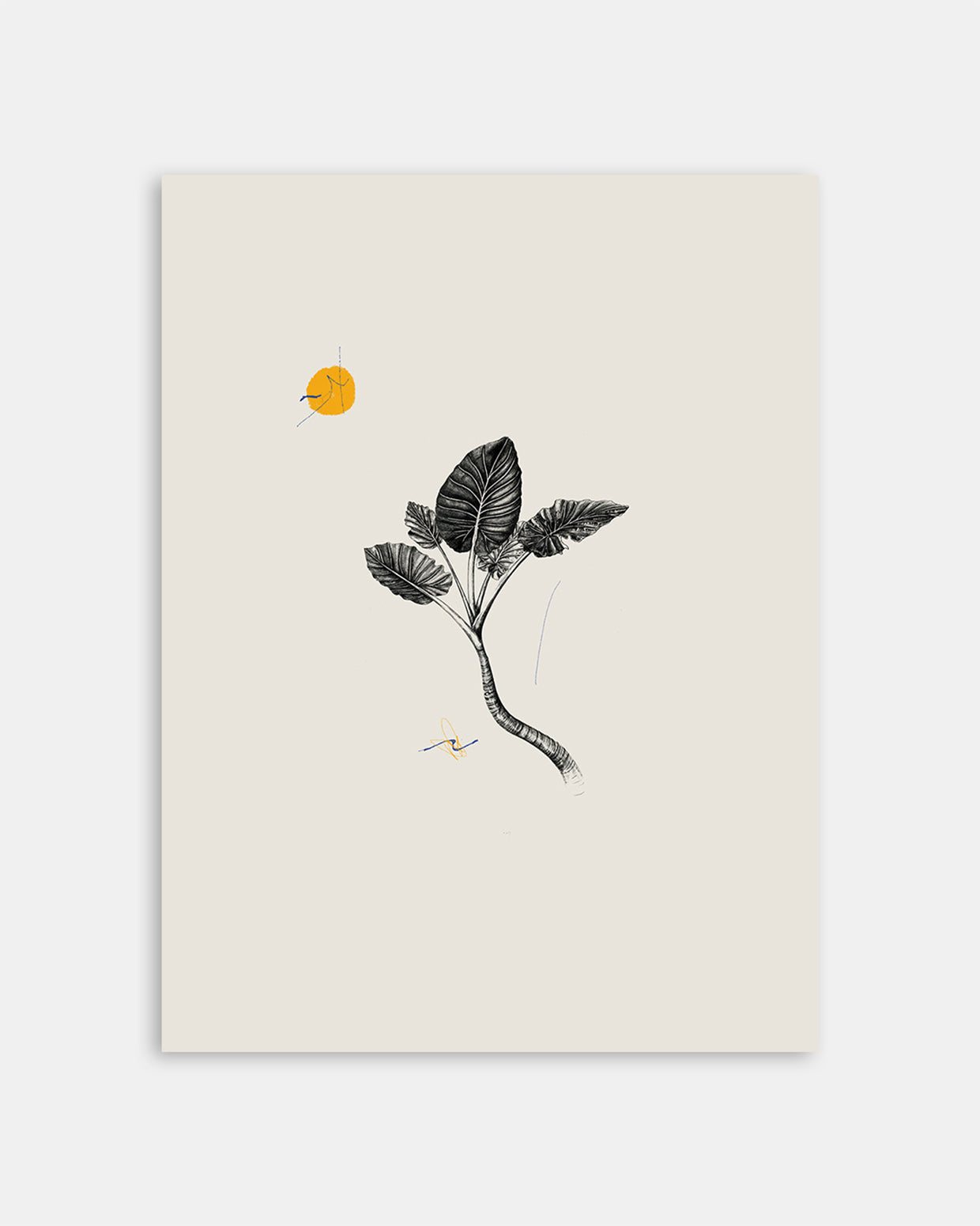 North Homeware | Botanical Study 2 Art Print by Sam Scales